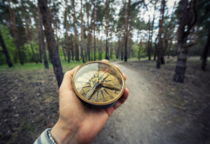 Jak poprawnie używać kompasu? Przewodnik dla początkujących ...